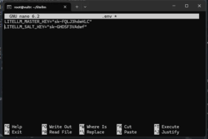 Open WebUI + LiteLLM 实现大模型用量的控制 | 配置SSL证书给LiteLLM | 泰科之家