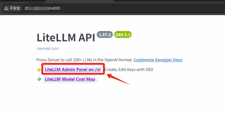 Open WebUI + LiteLLM 实现大模型用量的控制 | 配置SSL证书给LiteLLM | 泰科之家